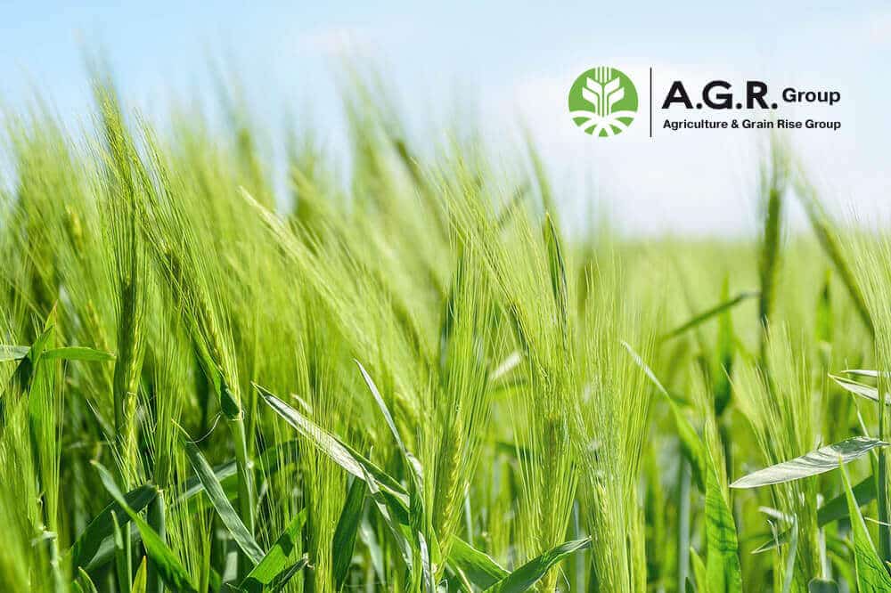 AGR GROUP joins APS tender platform